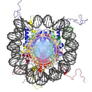 INMG - Institut NeuroMyoGène
