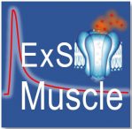 INMG - Institut NeuroMyoGène