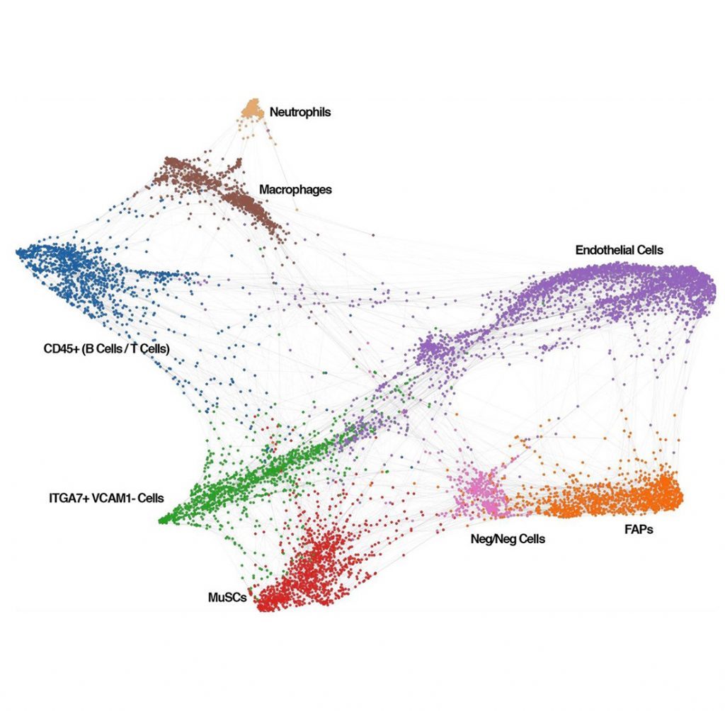 L'INMG - INMG - PGNM